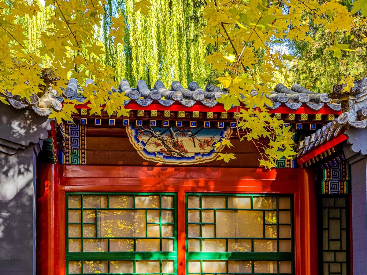 手机游拍20241105《22》-中关村在线摄影论坛