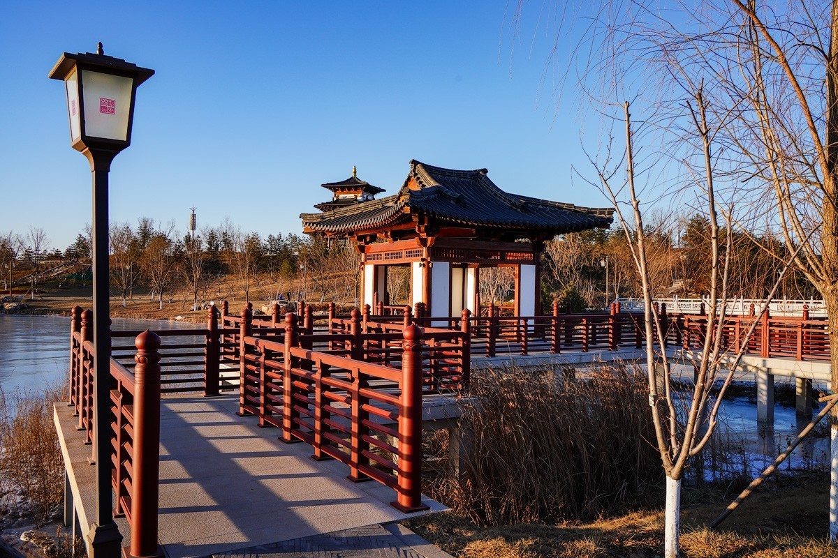 雄安悦容公园掠影（3）-中关村在线摄影论坛