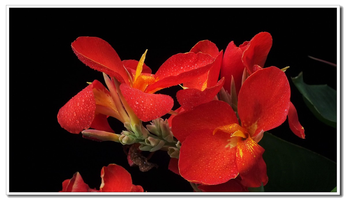 随拍-中关村在线摄影论坛