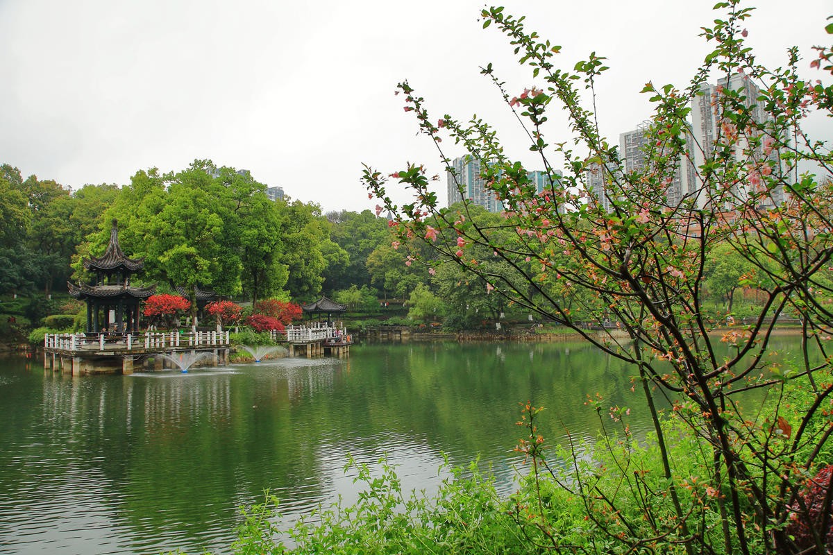 游沙坪公园-中关村在线摄影论坛