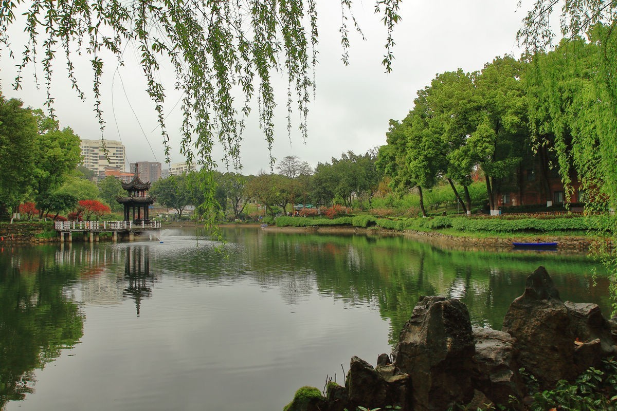 游沙坪公园-中关村在线摄影论坛