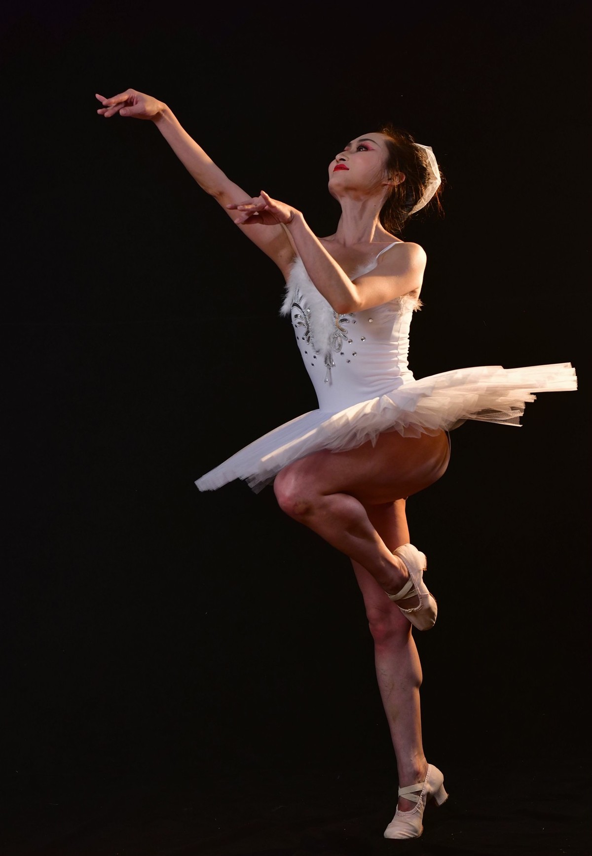 舞蹈小天鹅-中关村在线摄影论坛