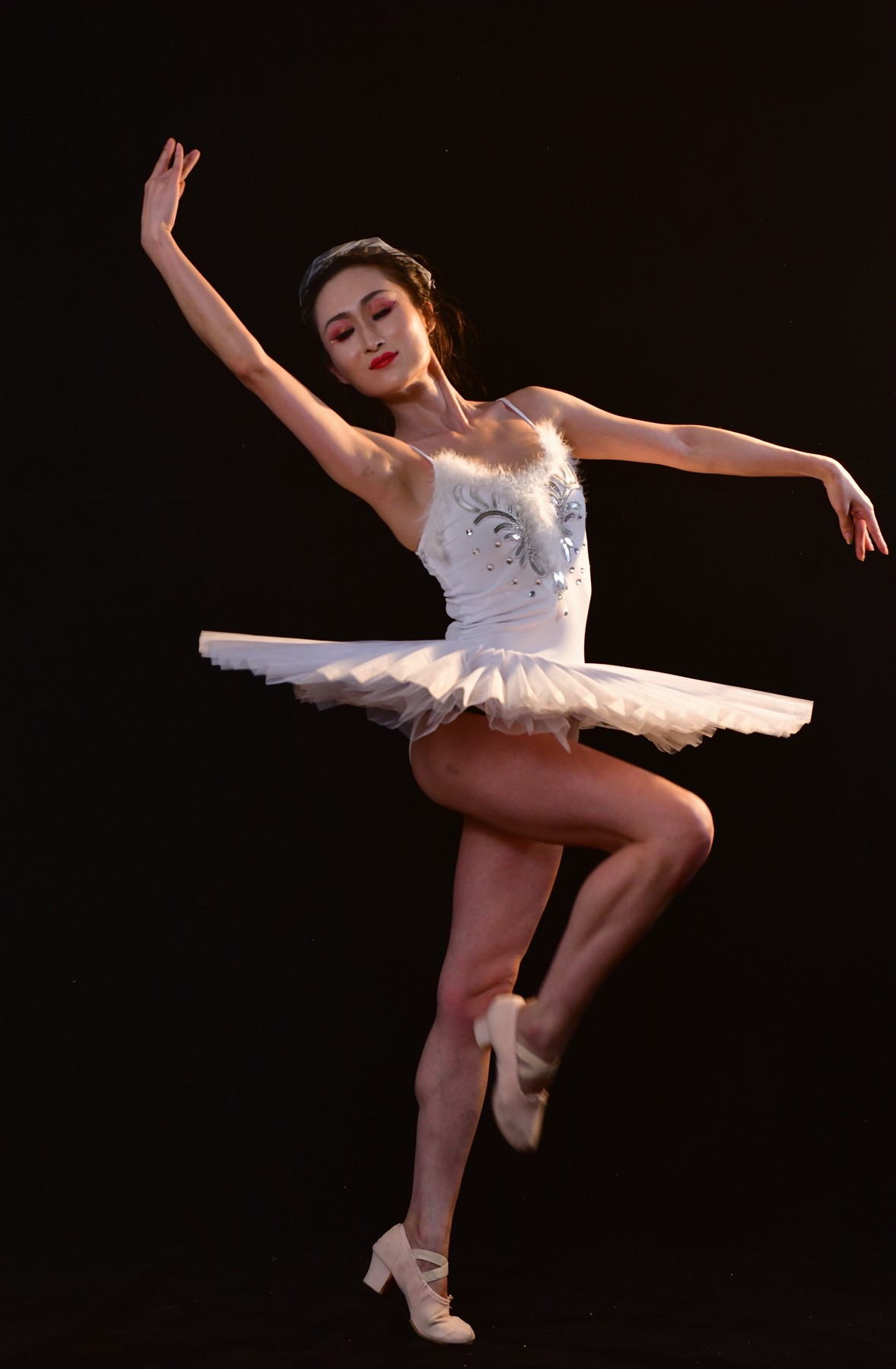 舞蹈小天鹅-中关村在线摄影论坛