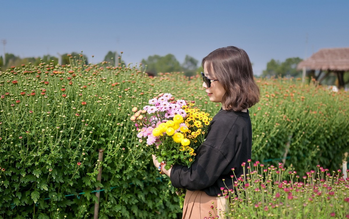 雏菊人像-中关村在线摄影论坛