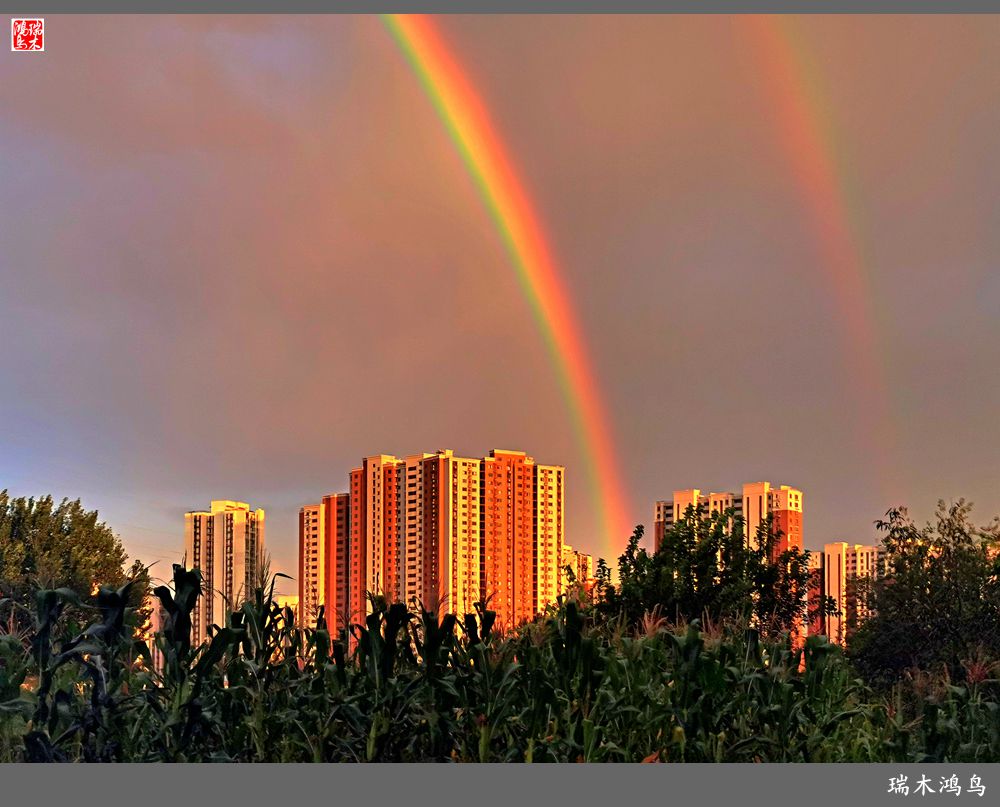 【手机随拍】风雨过后见彩虹-中关村在线摄影论坛