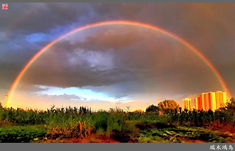【手机随拍】风雨过后见彩虹-中关村在线摄影论坛