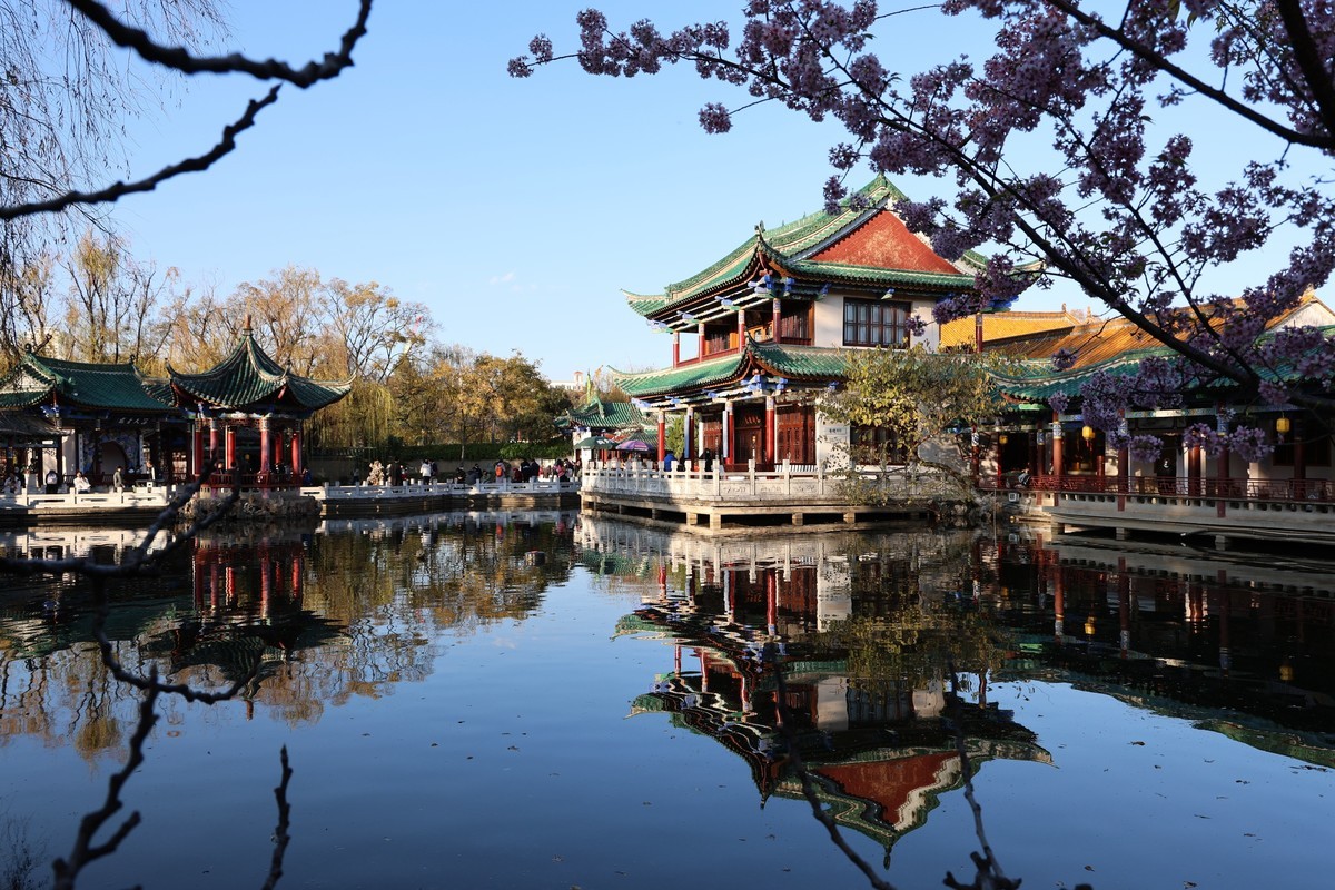 彩云之南-中关村在线摄影论坛