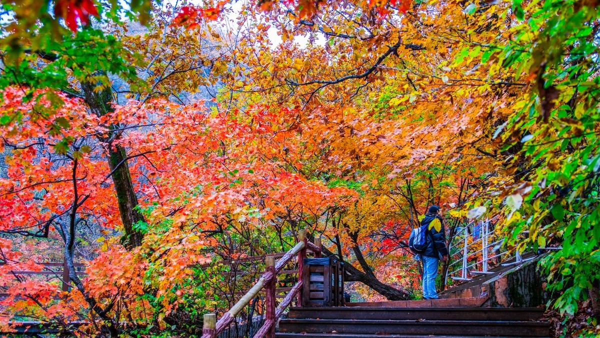 10 10 本 溪 关 门 山 中关村在线摄影论坛