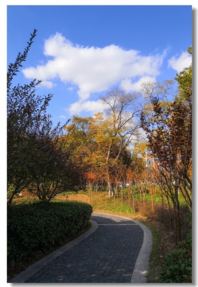 路边绿地也漂亮-中关村在线摄影论坛