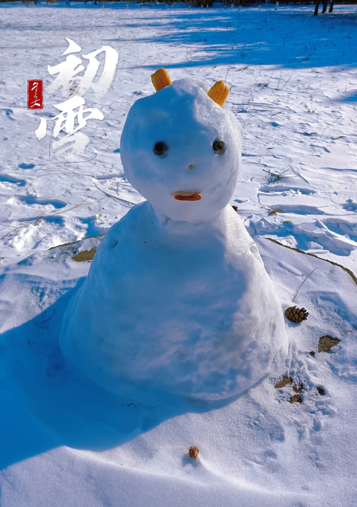 12月16日踏雪（手机版）-中关村在线摄影论坛