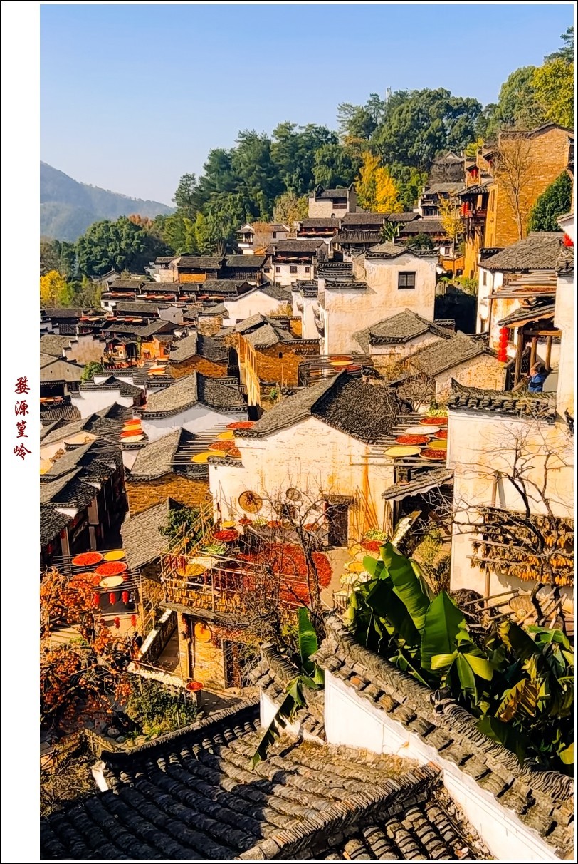 2023年第0067贴-婺源篁岭抓拍-067（0202F）-中关村在线摄影论坛