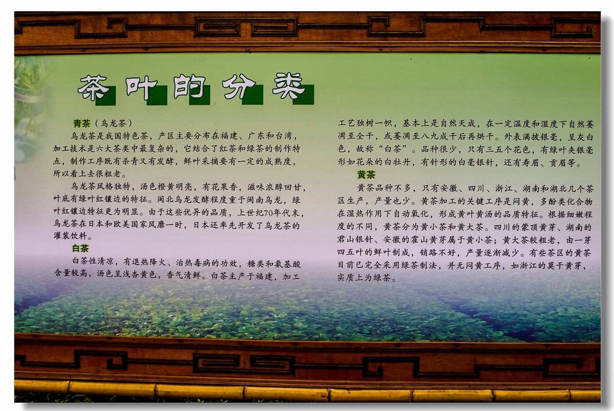 游拍“古漪园”（南翔）-中关村在线摄影论坛