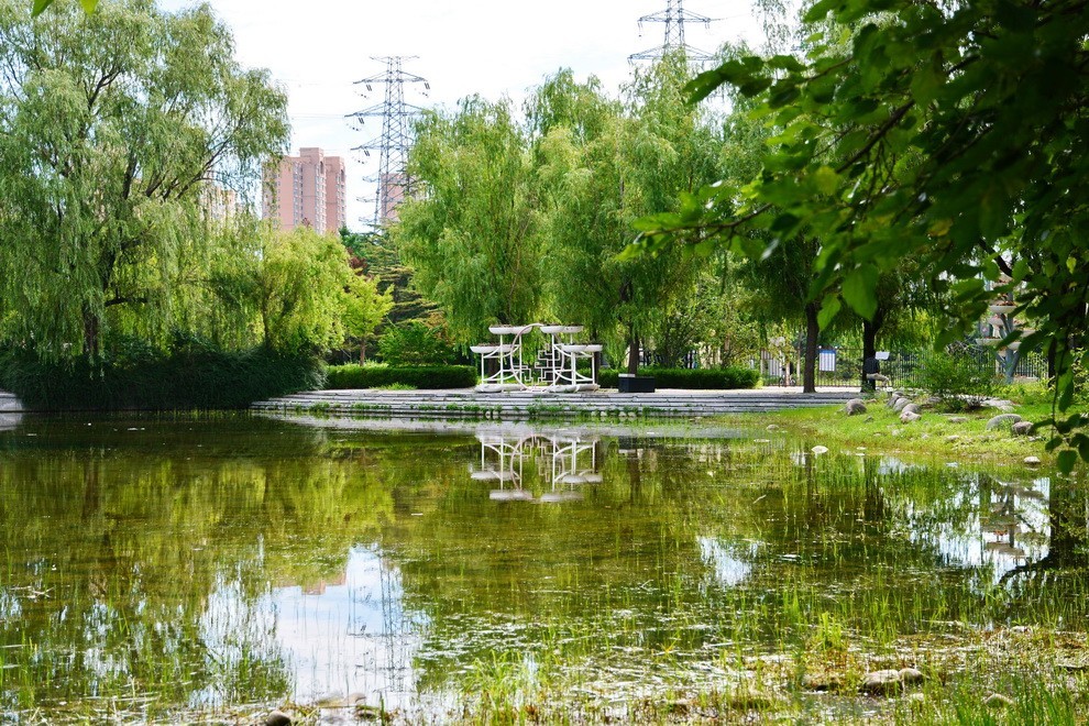 2023-123 公园小景-中关村在线摄影论坛