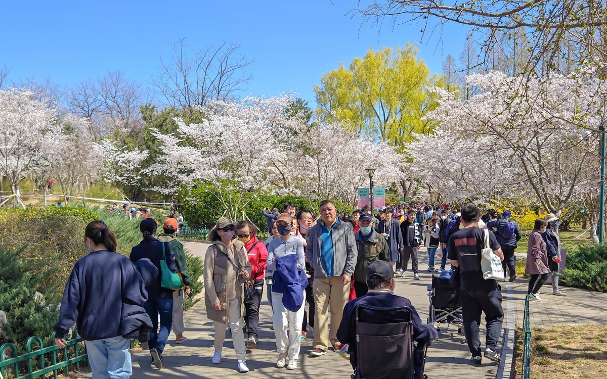 手机随拍20230327《26》-中关村在线摄影论坛