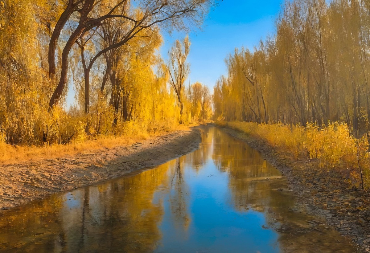 金色胡杨林的浪漫诗篇-中关村在线摄影论坛