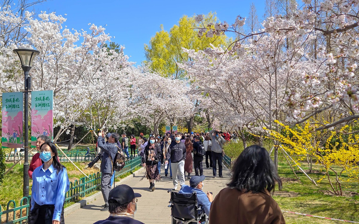 手机随拍20230327《26》-中关村在线摄影论坛