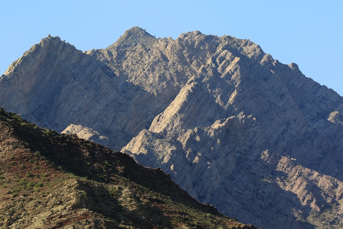 7D2与大白是绝配！-中关村在线摄影论坛