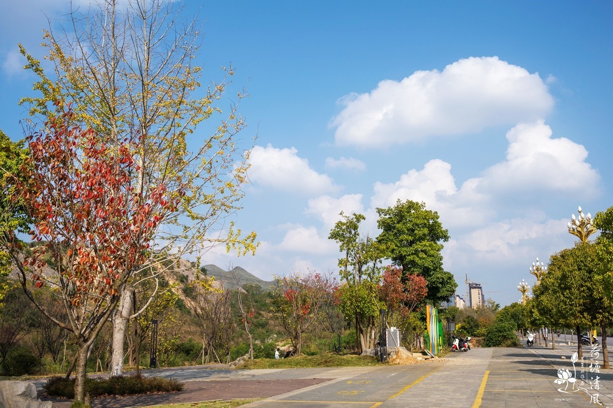 安龙县，“健康主题公园”。-中关村在线摄影论坛