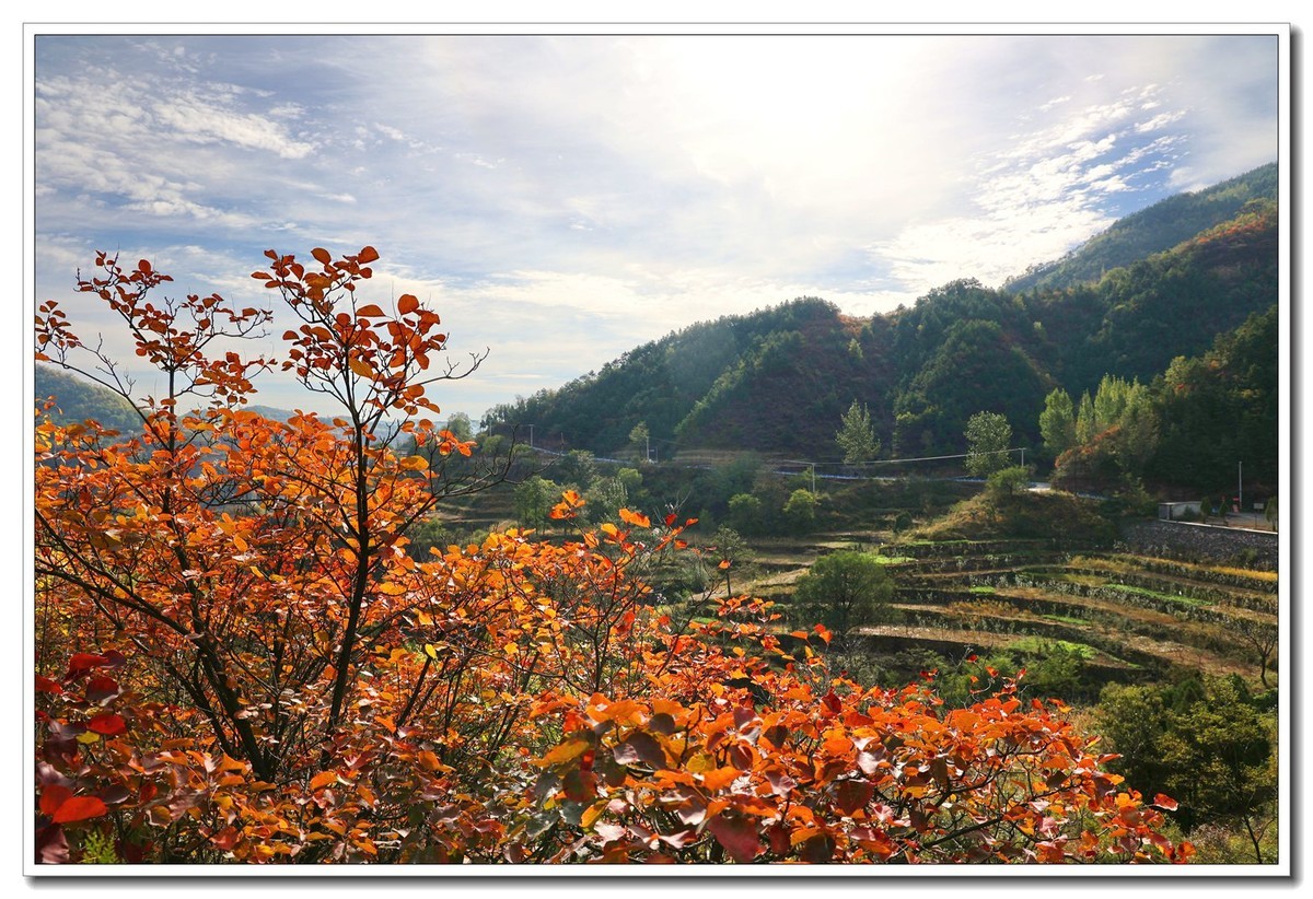 秋游林州韩家凹 3【2022-0794】-中关村在线摄影论坛