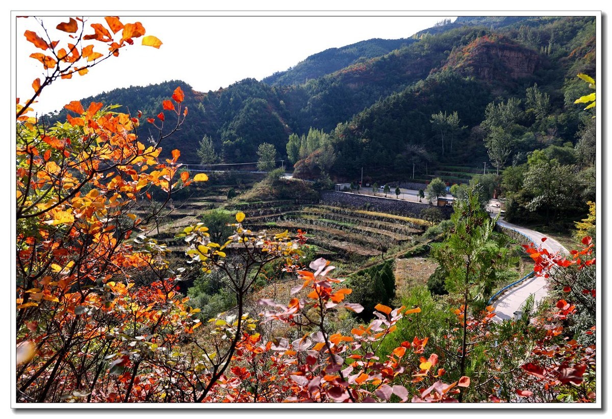 秋游林州韩家凹 3【2022-0794】-中关村在线摄影论坛