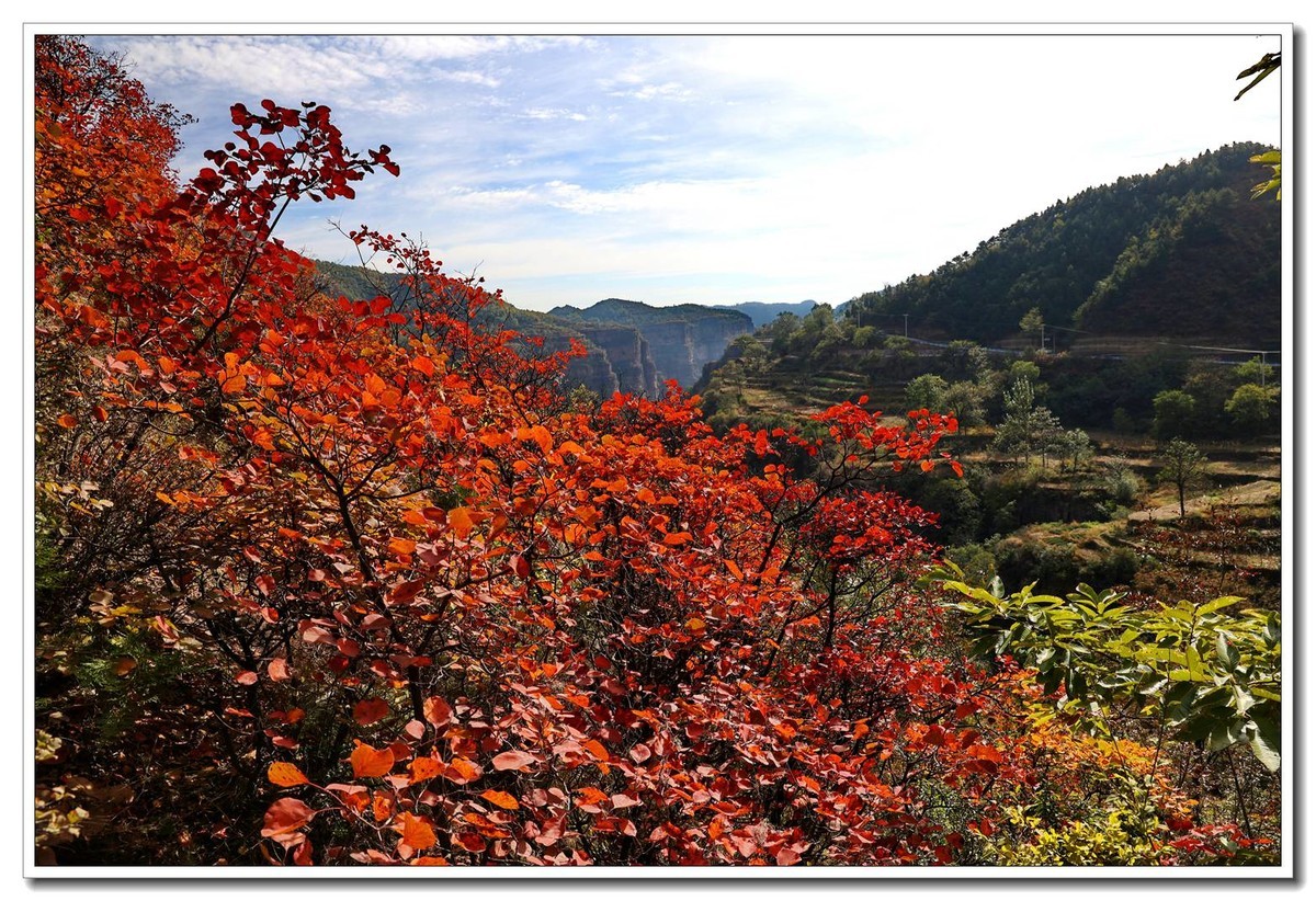 秋游林州韩家凹 3【2022-0794】-中关村在线摄影论坛