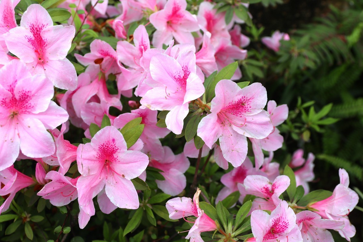 呼归石公园 （四）-中关村在线摄影论坛