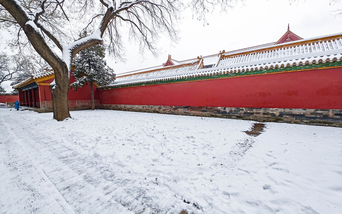 手机随拍20231214《263》-中关村在线摄影论坛