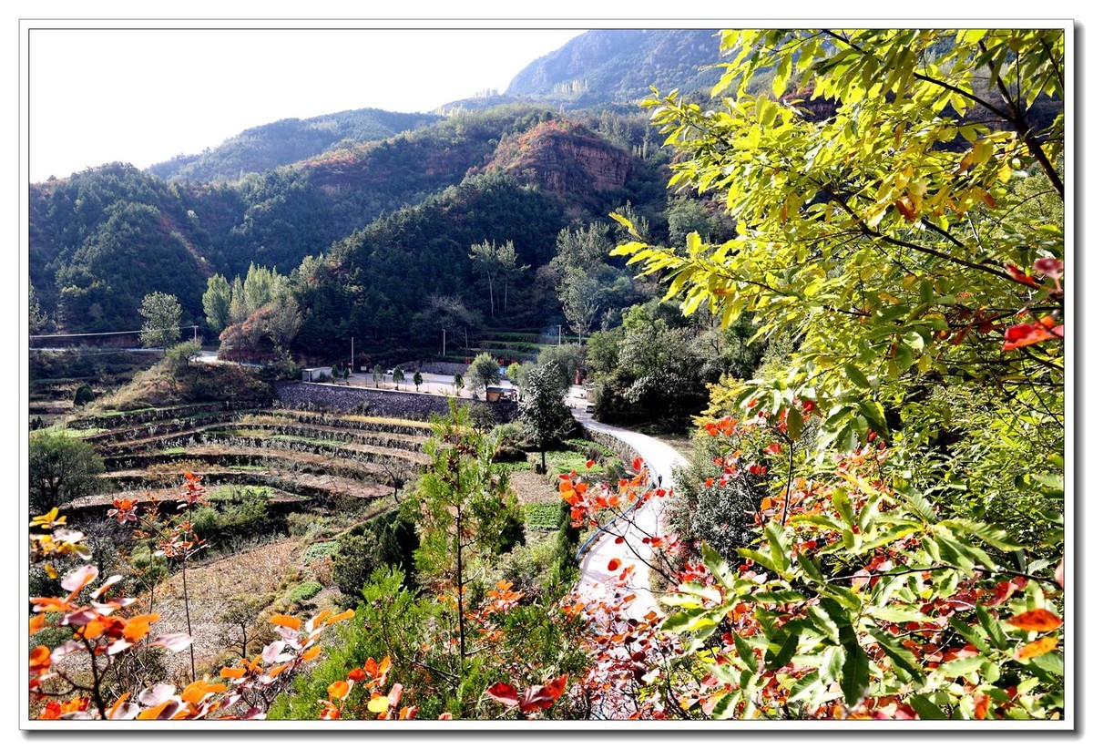 秋游林州韩家凹 3【2022-0794】-中关村在线摄影论坛