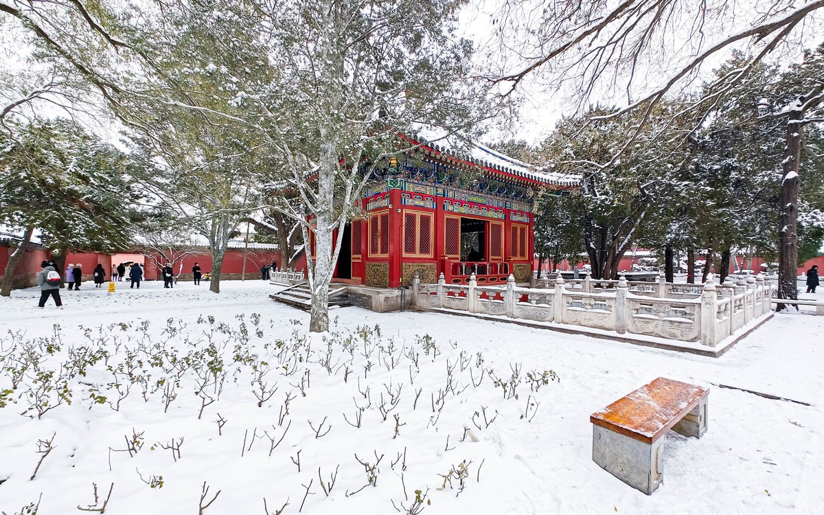 手机随拍20231214《263》-中关村在线摄影论坛