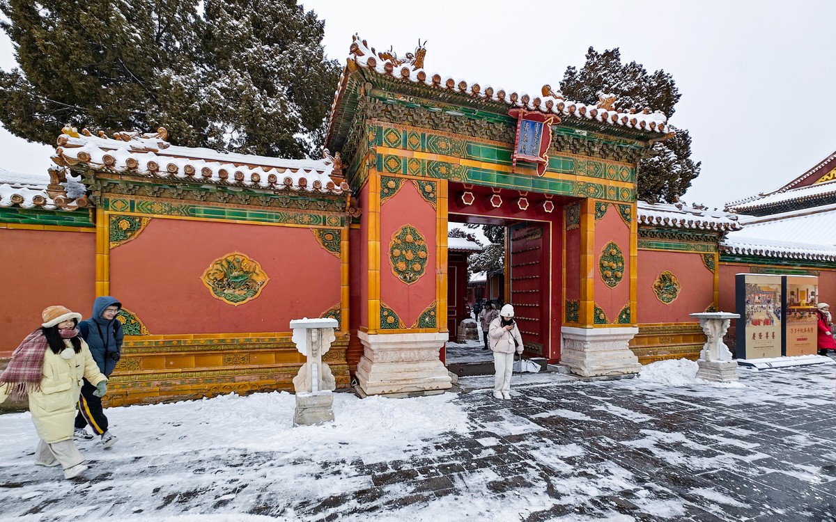 手机随拍20231214《263》-中关村在线摄影论坛