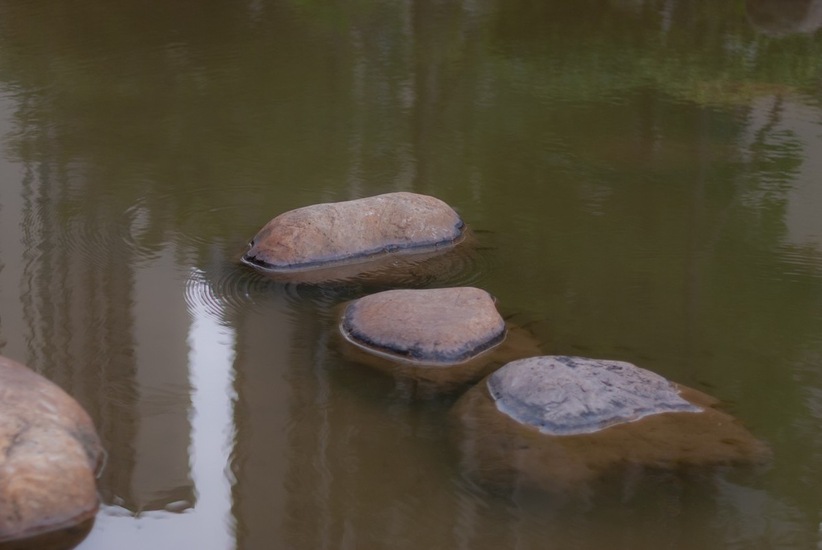 练手-中关村在线摄影论坛