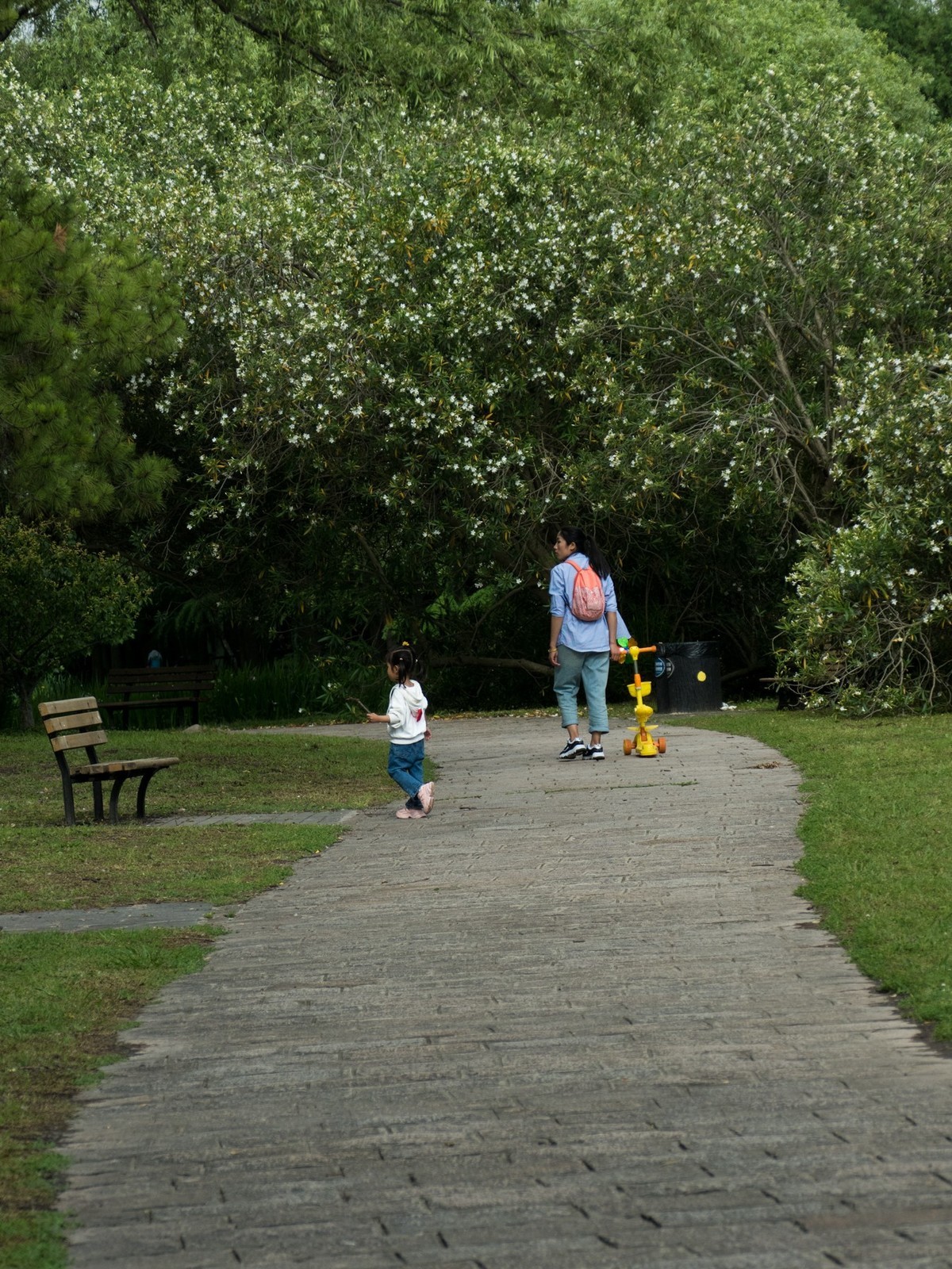公园掠影-中关村在线摄影论坛