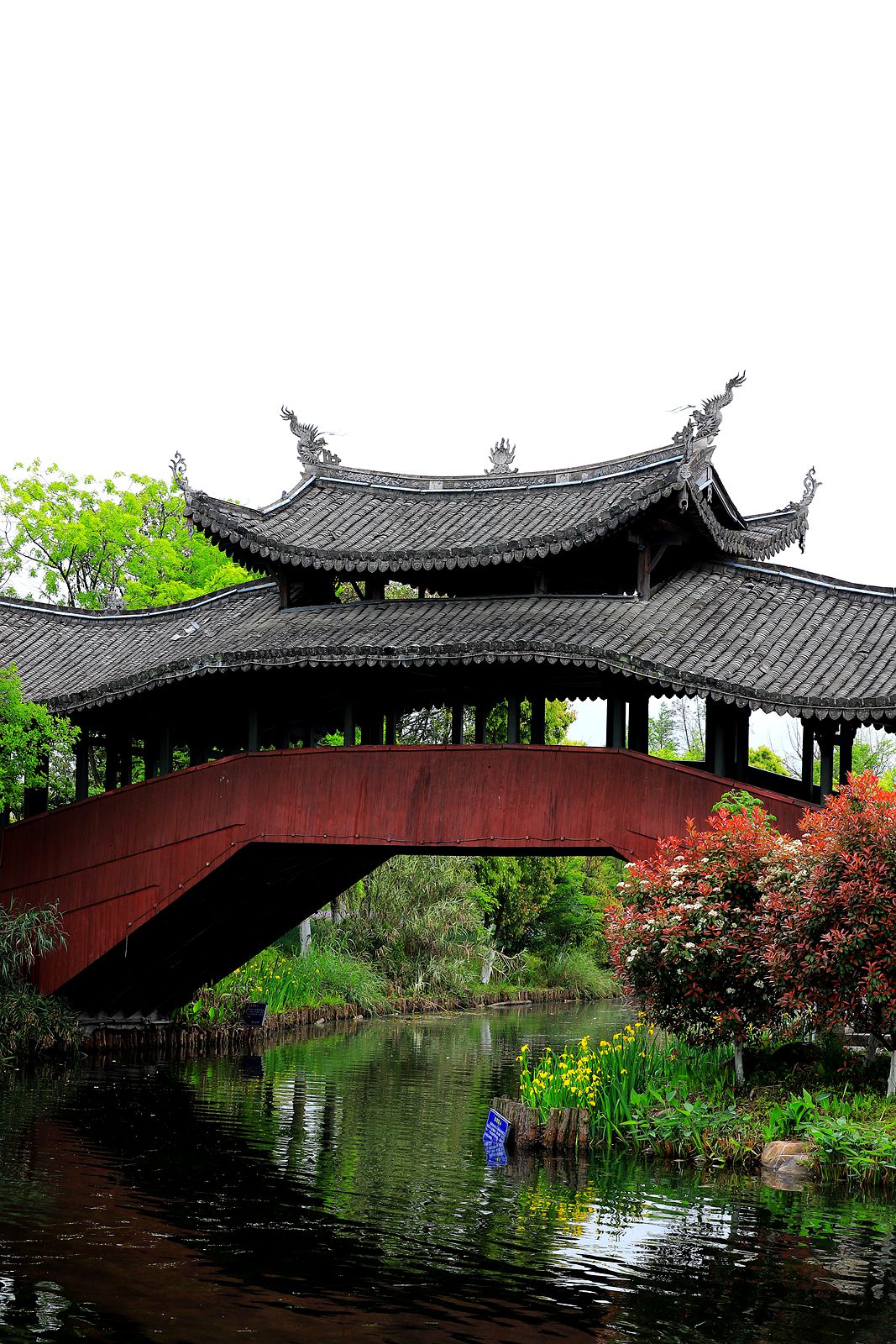 三垟湿地公园(7)-中关村在线摄影论坛