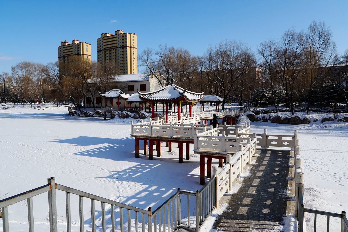 闲遛随拍（完）-中关村在线摄影论坛