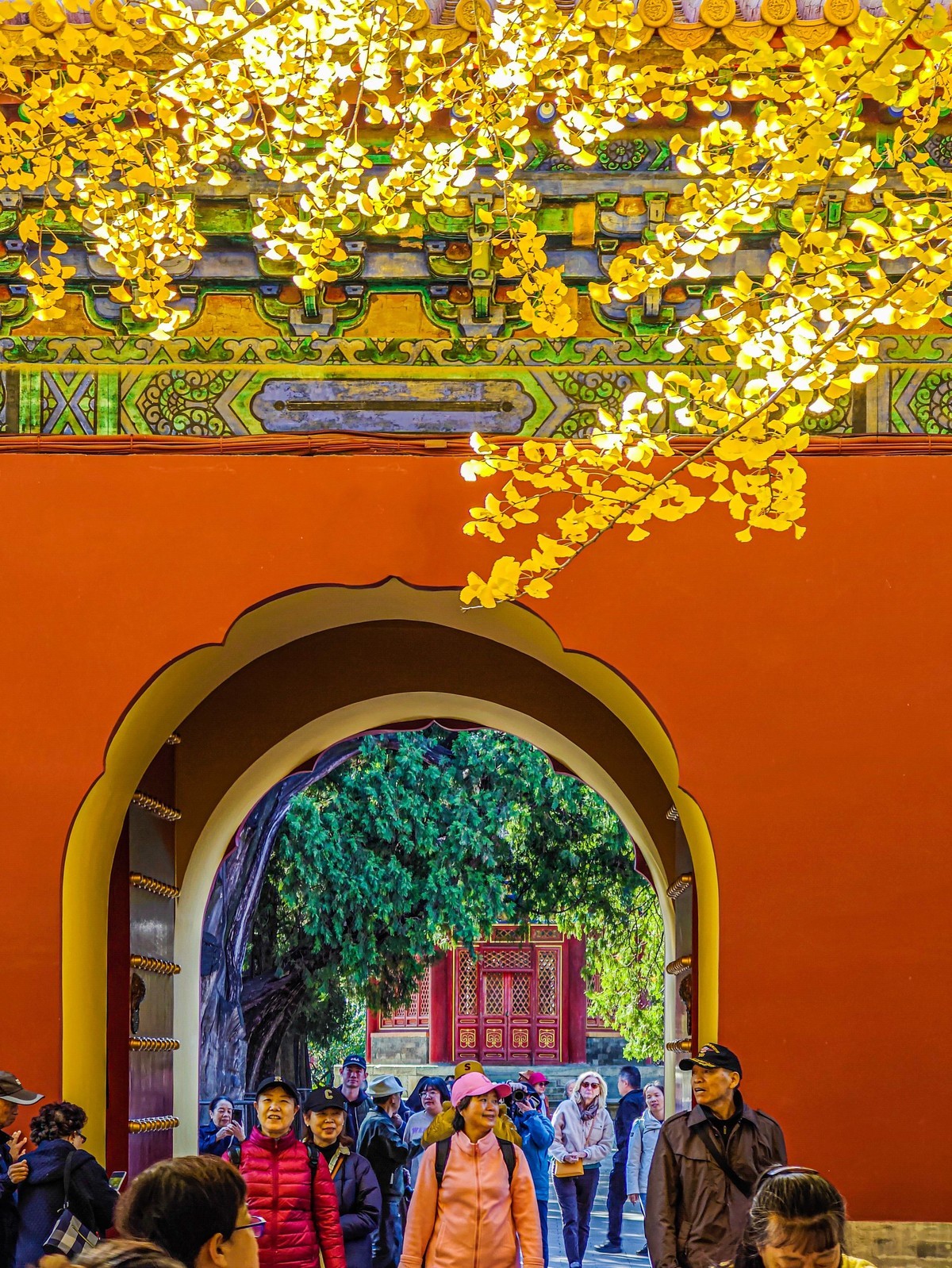 手机游拍20241105 《1》-中关村在线摄影论坛