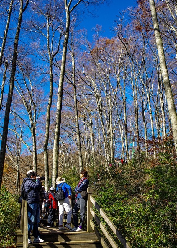 光雾山金秋行【4】-中关村在线摄影论坛