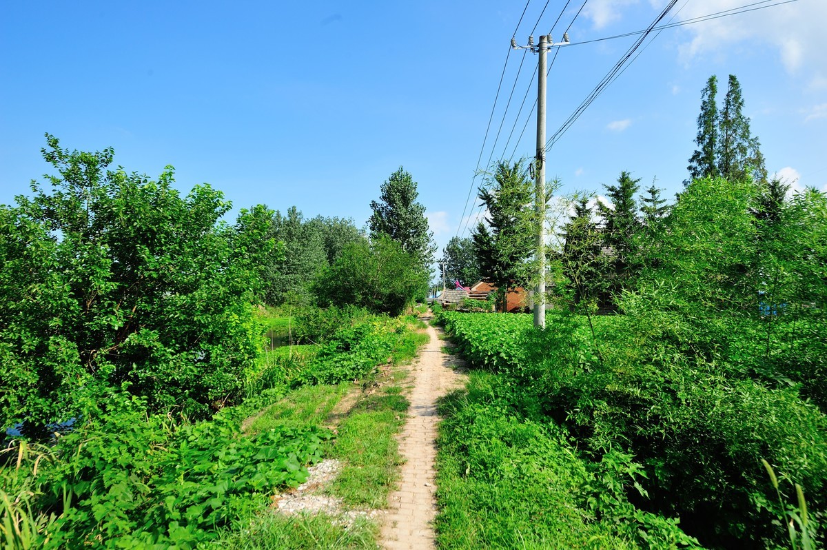 老家随拍-中关村在线摄影论坛