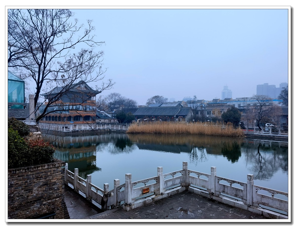 兔年兔展 7【2023-0195】-中关村在线摄影论坛