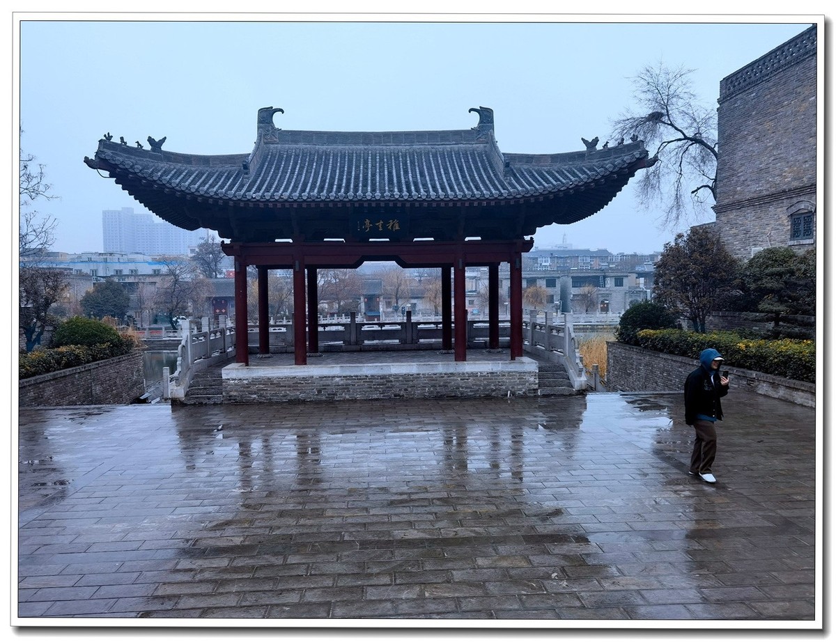 兔年兔展 7【2023-0195】-中关村在线摄影论坛