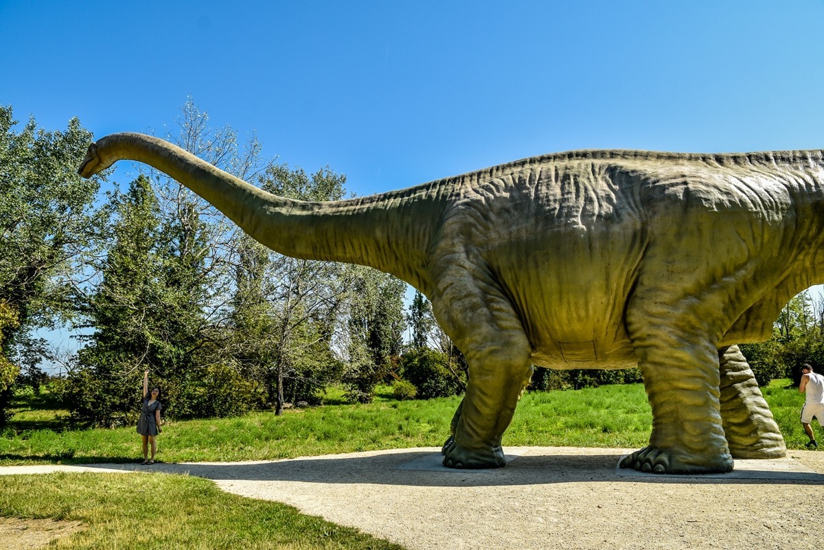 游园拍摄（瑞士巴塞尔）-中关村在线摄影论坛