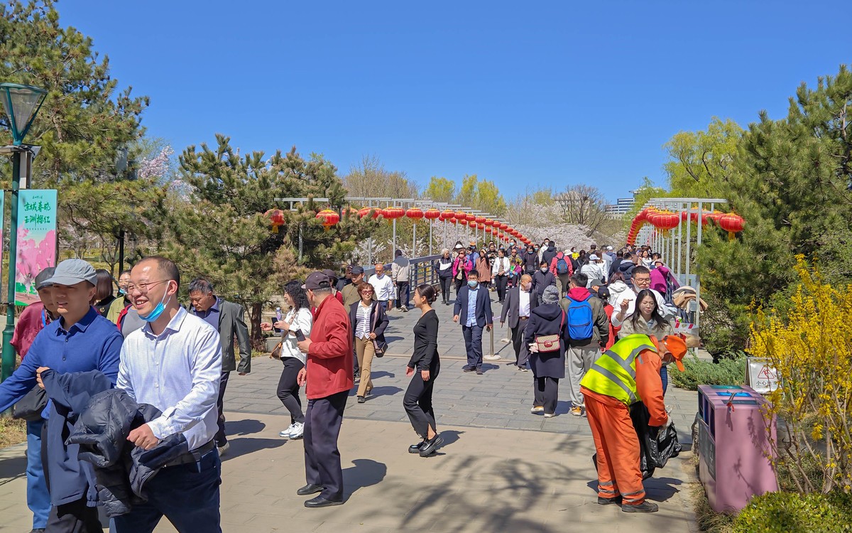 手机随拍20230327《9》-中关村在线摄影论坛