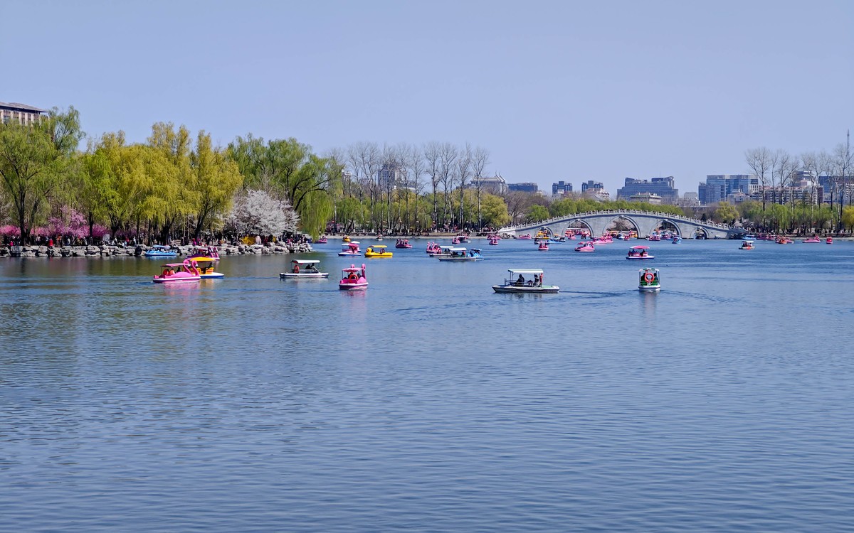 手机随拍20230327《9》-中关村在线摄影论坛