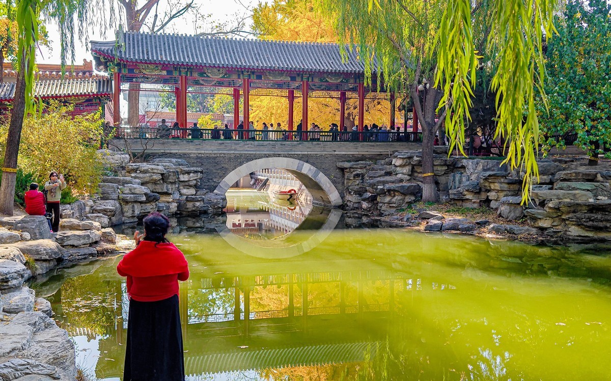 手机游拍20241105《45》-中关村在线摄影论坛