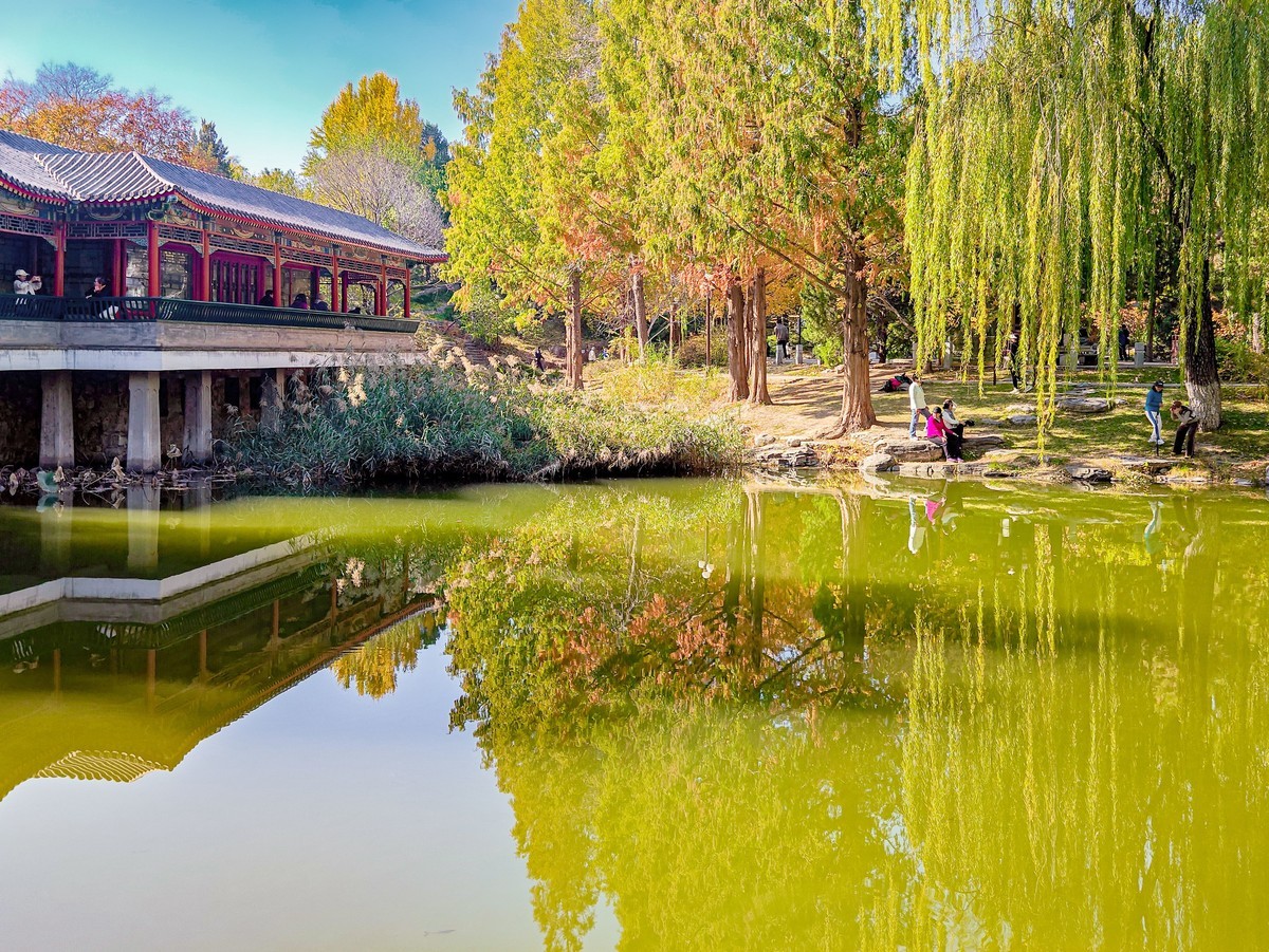 手机游拍20241105《45》-中关村在线摄影论坛