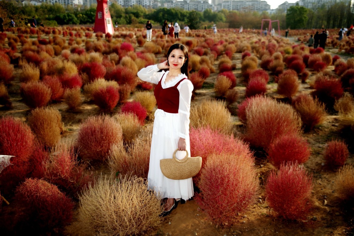环境人像---红色地肤草！-中关村在线摄影论坛
