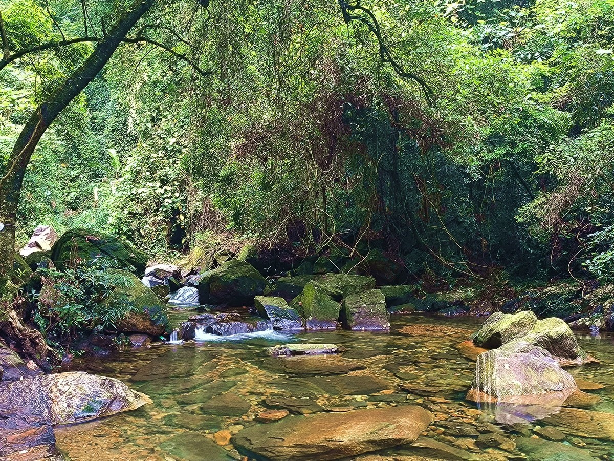 手机随拍鼎湖山（二）-中关村在线摄影论坛