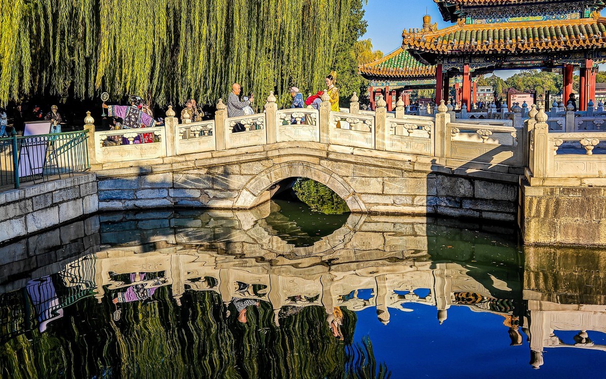 手机游拍20241105《24》-中关村在线摄影论坛