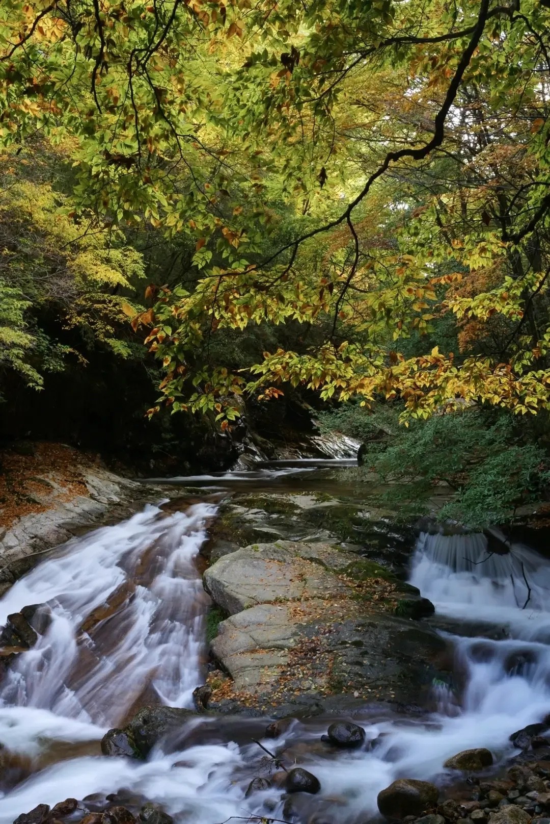 流水如丝-中关村在线摄影论坛