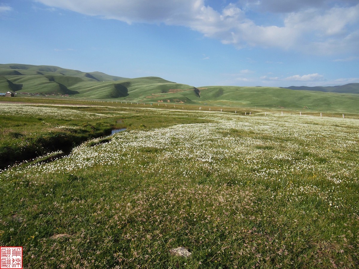 【高清图】宗塔草原（9）-中关村在线摄影论坛