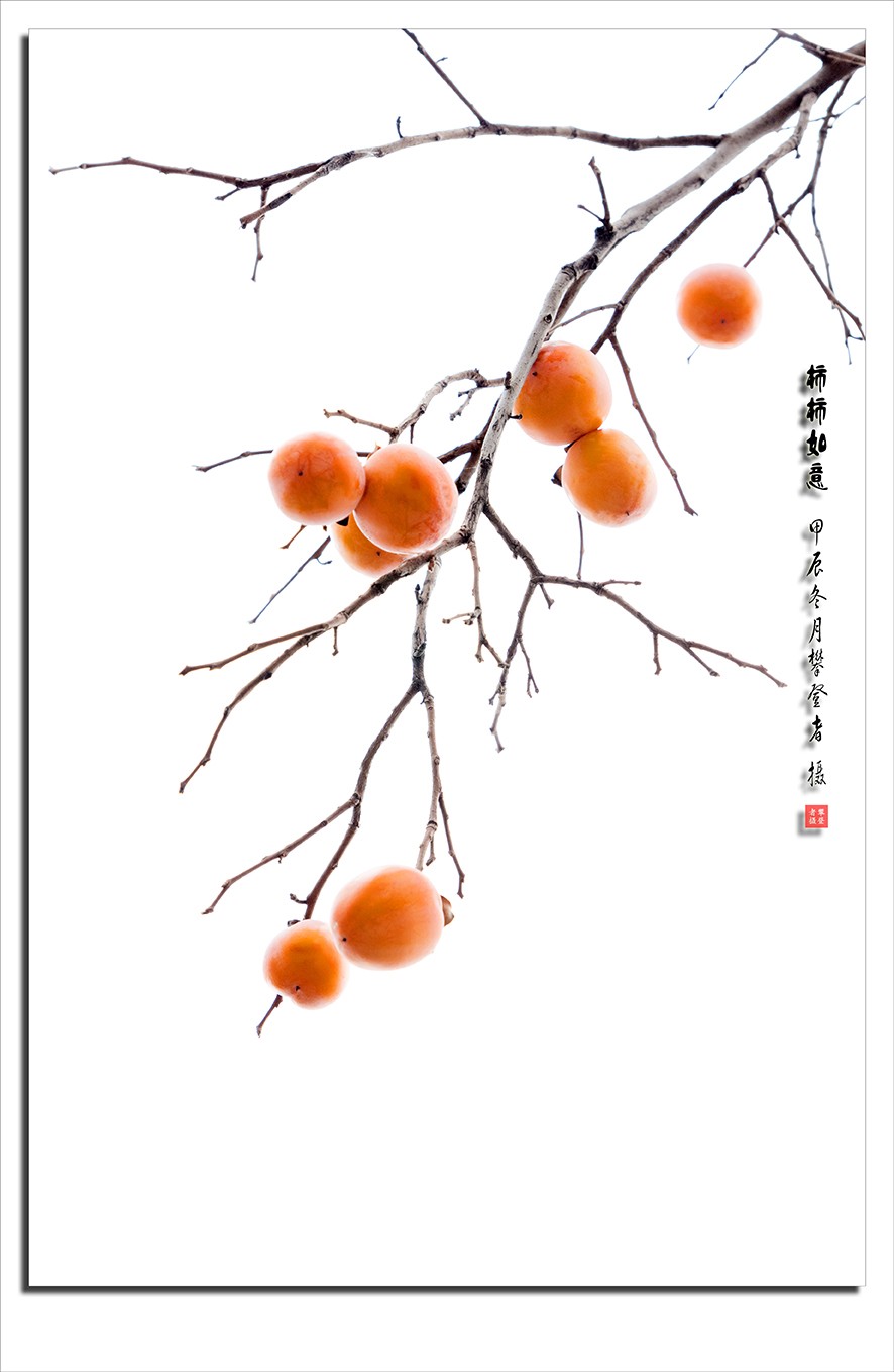 柿柿如意--2-中关村在线摄影论坛